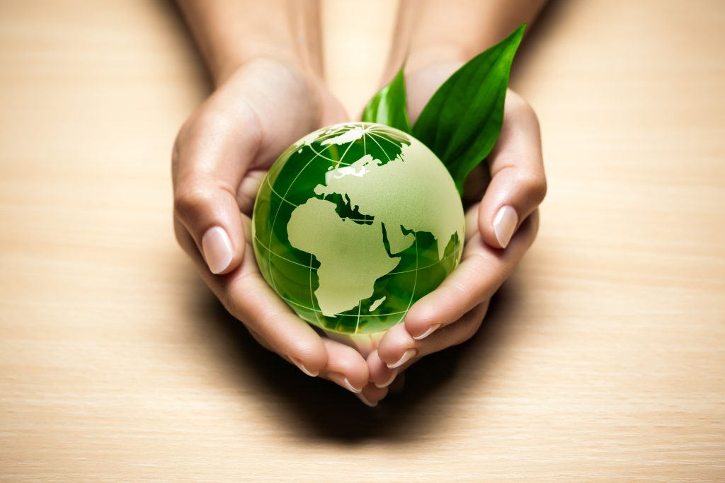 8 Ways to Empower Employees to Work Greener | Factory Direct Promos