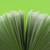 What Are The Top 5 Books for Green Business | Factory Direct Promos