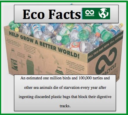5 Eco Facts That Will Blow Your Mind | Factory Direct Promos