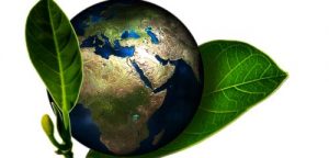 Eco-Friendly Ideas for Trade Shows to Make Your Next Exhibition ...